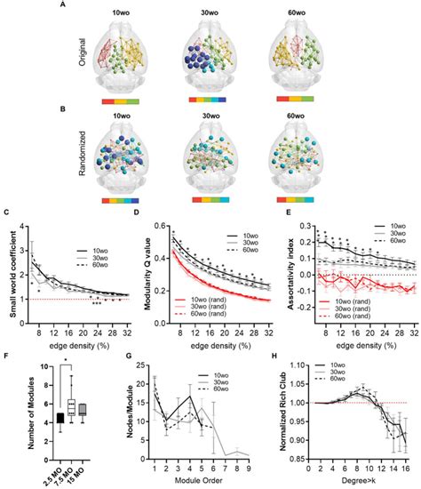 Age Related Differences In Affective Behaviors In Mice Possible Role Of Prefrontal Cortical