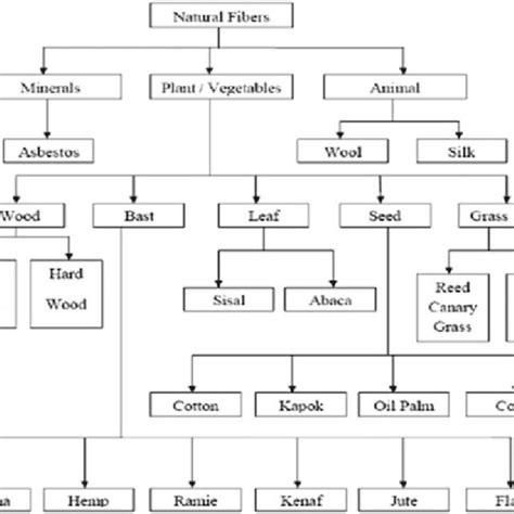 classification of natural fibers download scientific diagram