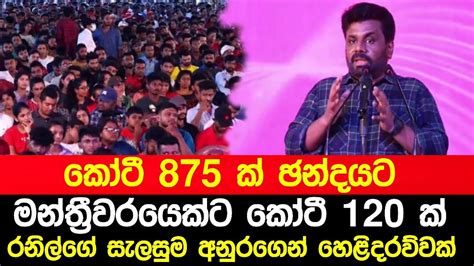 රනිල් කෝටී 875 ක් ඡන්දයට මන්ත්‍රීවරයෙක්ට කෝටී 120 ක් අනුර හැමෝම