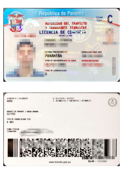 Licencia de conducir Traducción jurada al alemán