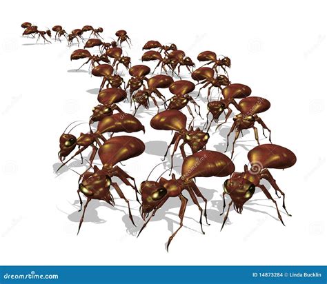 Ants Army Stock Illustrations 177 Ants Army Stock Illustrations