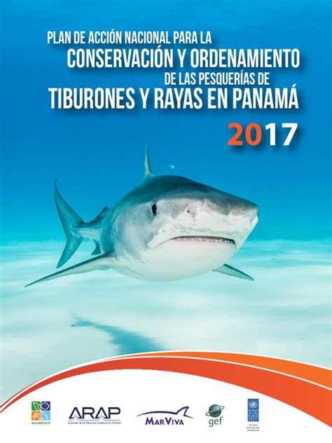 Plan De Acción Nacional Conservación Tiburones Y Rayas 2017 Pdf
