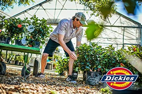 Dickies Mens Dri Tech Moisture Control No Show Socks 6 And 12 Pairs
