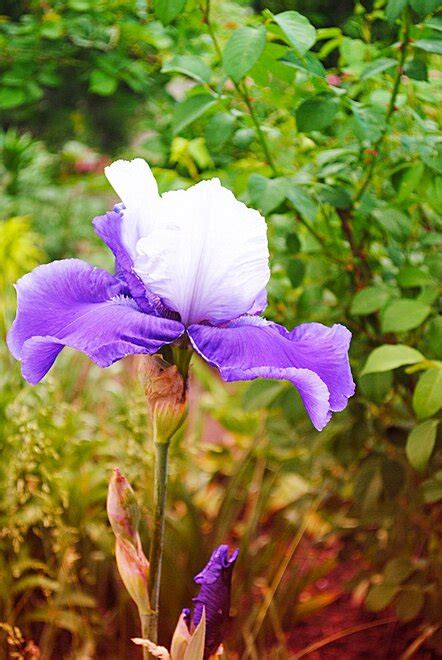 Amateur Pics 5097 Nudephotos6201 20908 Porn Pic Eporner