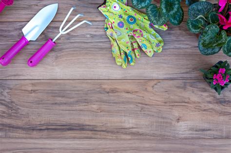 원 예 도구 급수 깡통 꽃 장갑 삽 토양 무료 텍스트 공간을 정원 개념 레이아웃에 봄 개체 그룹에 대한 스톡 사진 및 기타 이미지 Istock