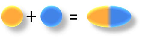 Sigma And Pi Bonds — Definition And Overview Expii