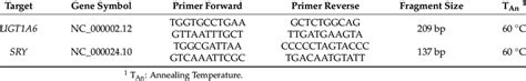 Primer Details Sex Specific Polymerase Chain Reaction Download