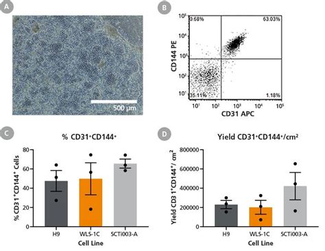 Stemdiff™ Apel™2 Medium For Psc Differentiation Stemcell Technologies