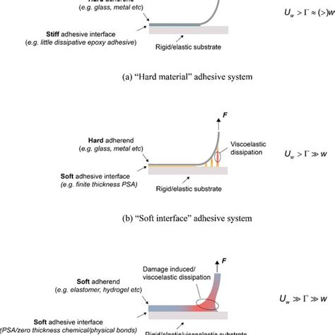 Schematic Diagram Of Peeling Behavior Of Different Adhesive Systems Download Scientific