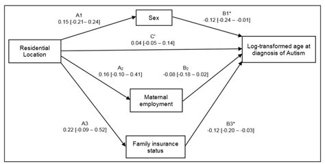 Age Adjusted Path Analysis Model With 95 Ci And Maximum Likelihood