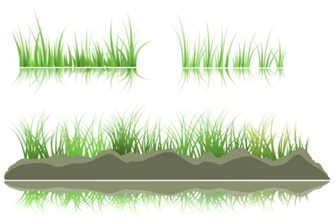Grass Graphic By Cyudeshbuhu · Creative Fabrica