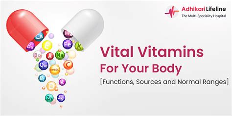 Vital Vitamins For Your Body [functions Sources And Normal Ranges]