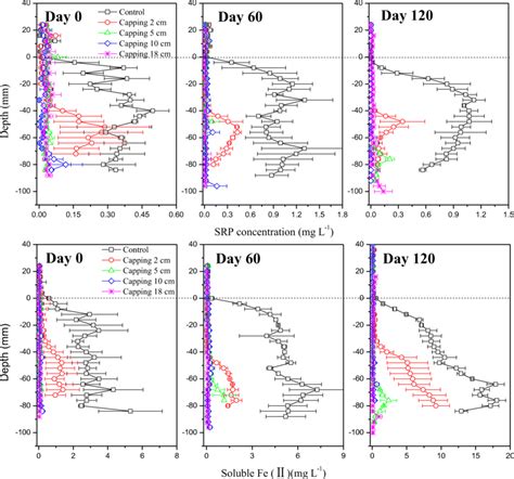 Vertical Profiles Of Srp And Soluble Feii Concentrations In Pore