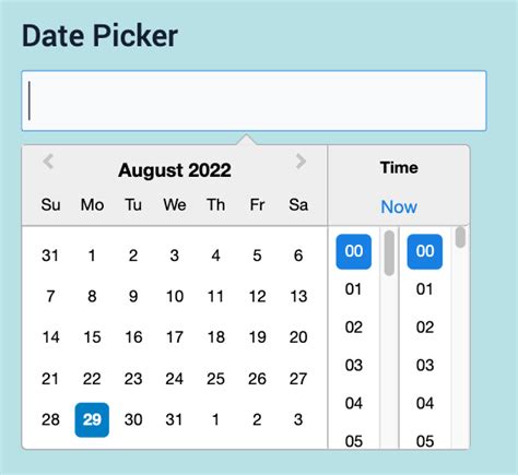 Input Widgets