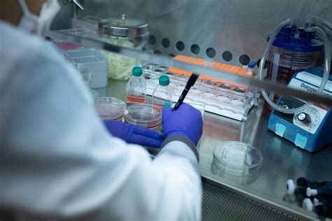 Critical Health And Science Research Is On The Chopping Block As Trump