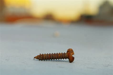 Free Rusty Screw Stock Photo FreeImages Com