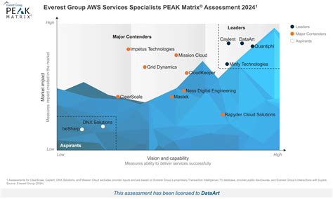 dataart named leader in everest group aws services specialists peak