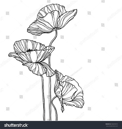 Hand Drawn Poppies Isolated On White Stock Vector 358205915 Shutterstock