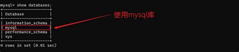 数据库 Root密码丢失的重置方案win11环境）mysql忘记root密码windows环境 Csdn博客