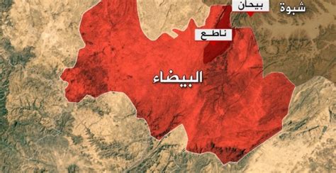 الجيش اليمني يسيطر على مواقع استراتيجية للتحالف في البيضاء وكالة