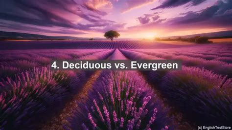 Top 10 Commonly Confused Words In Botanical Research Englishteststore Blog