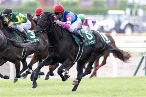 函館スプリントステークス の写真ギャラリー 競馬ニュースなら競馬のおはなし