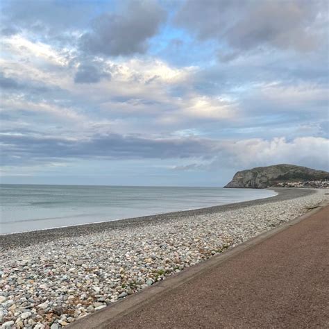 Andrew Laird On Linkedin Painmanagement Persistentpain Chronicpain