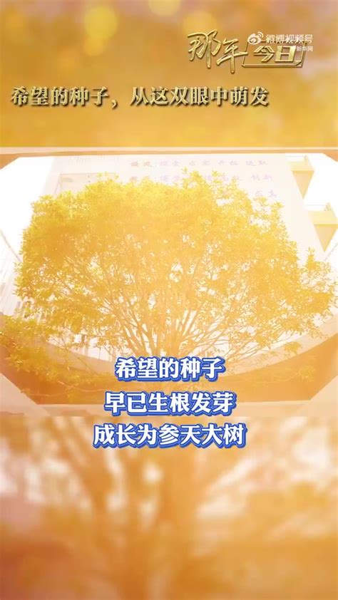 「那年今日丨希望的种子，从这双眼中萌发」第一所希望小学今天33岁了 这是一双饱含“我想读书”渴求的大眼睛，曾牵动亿万国人的心。如一粒种子，在大