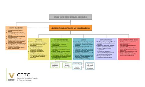 Functional Org Chart Center For Technology Transfer And Commercialization