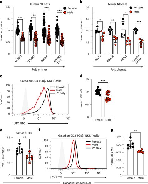 X Linked Utx Displays Sexually Dimorphic Gene Expression Independent Of