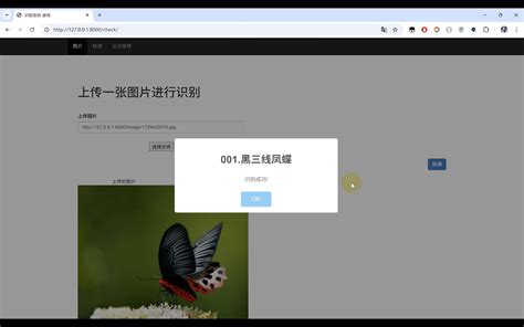 【蝴蝶识别】python 卷积神经网络算法 人工智能 深度学习 计算机课设项目 图像识别 算法模型 知乎