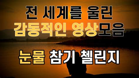전 세계를 울린 감동적인 영상모음 눈물참기 챌린지 동기부여 Youtube