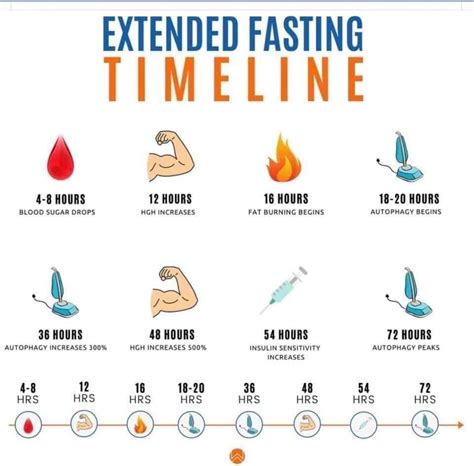 Extended Fasting Timeline Poster
