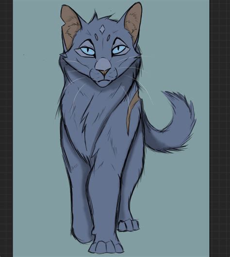 Warrior Cat Bluestar Drawing