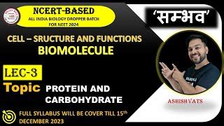 LEC 3 Biomolecule Protein Examples Carbohydrate Doovi