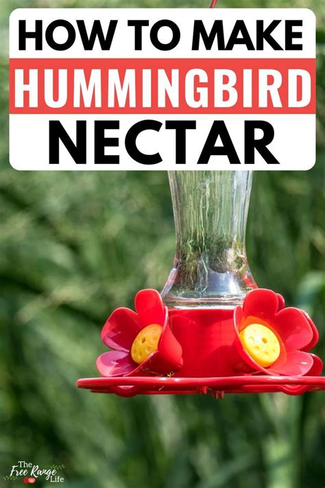 Nectar Recipe Artofit