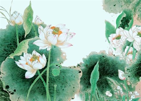 大写意水墨荷花画法教程图文步骤