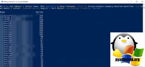 Как узнать время работы сервера Esxi за минуту Настройка серверов