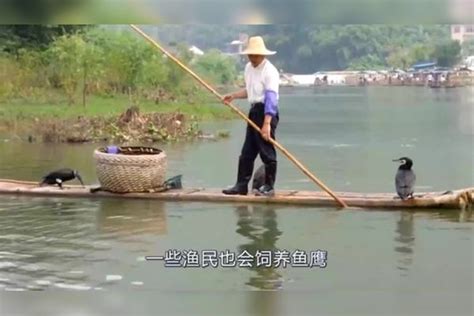 男子发现桥下水花四溅，走进看清后不淡定了，这家伙什么来头？清后家伙来头
