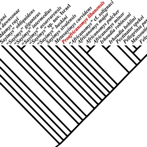 Single Most Parsimonious Tree Generated By The Cladistic Analysis Of Download Scientific