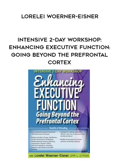 Intensive 2 Day Workshop Enhancing Executive Function Going Beyond The Prefrontal Cortex