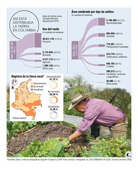 Reforma Agraria Sobre La Repartición De La Tierra Y La División Entre