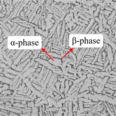 Ti 6al 4v Alloy Microstructure Download Scientific Diagram