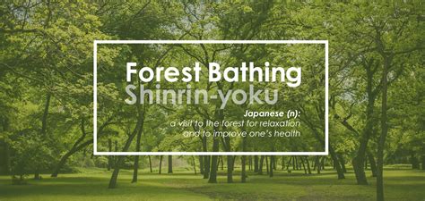 Forest Bathing Shinrin Yoku Feature 1 Plano Magazine