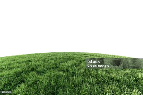 무성한 푸른 잔디 잔디밭 언덕 신선한 자연 흰색 배경에 고립 된 클리핑 경로 3d 렌더링 언덕에 대한 스톡 사진 및 기타 이미지 언덕 광대한 녹색 Istock