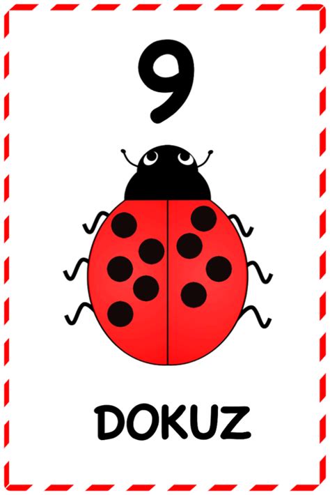 Ladybug Number Matching Game