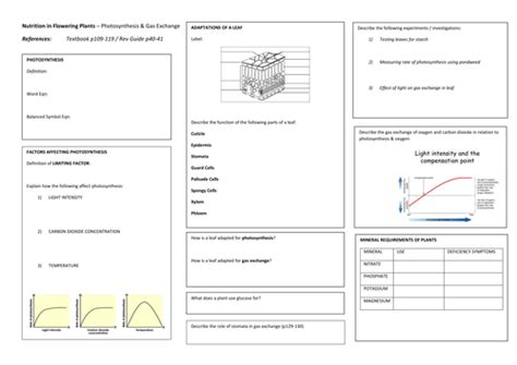 Igcse Biology 16 Separate Topic Specific Revision Posters Teaching