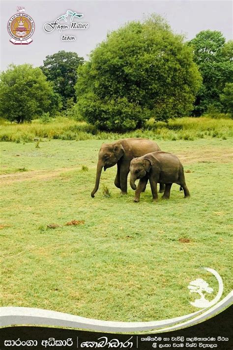 Fapm Nature Team On Linkedin සොබාධාරා Fapm Nature Team Wusl