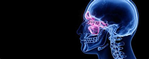 Ear Nose And Throat Doctor Baltimore Md Owings Mills Md