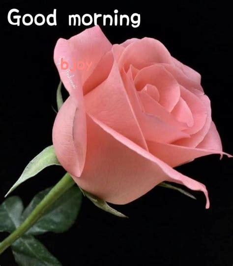 Good Morning Happy Mothers Day Images